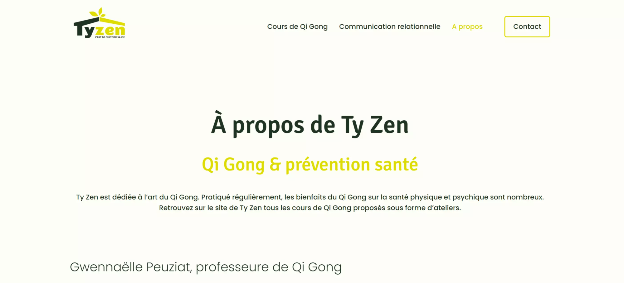 A propos de Ty Zen - Tyzen